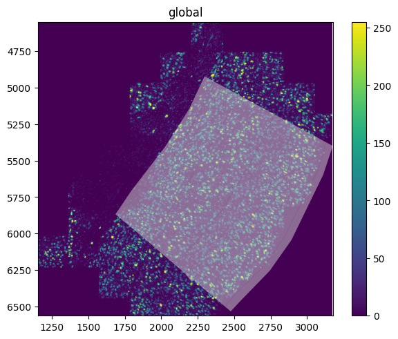 Technology focus: MERFISH — spatialdata